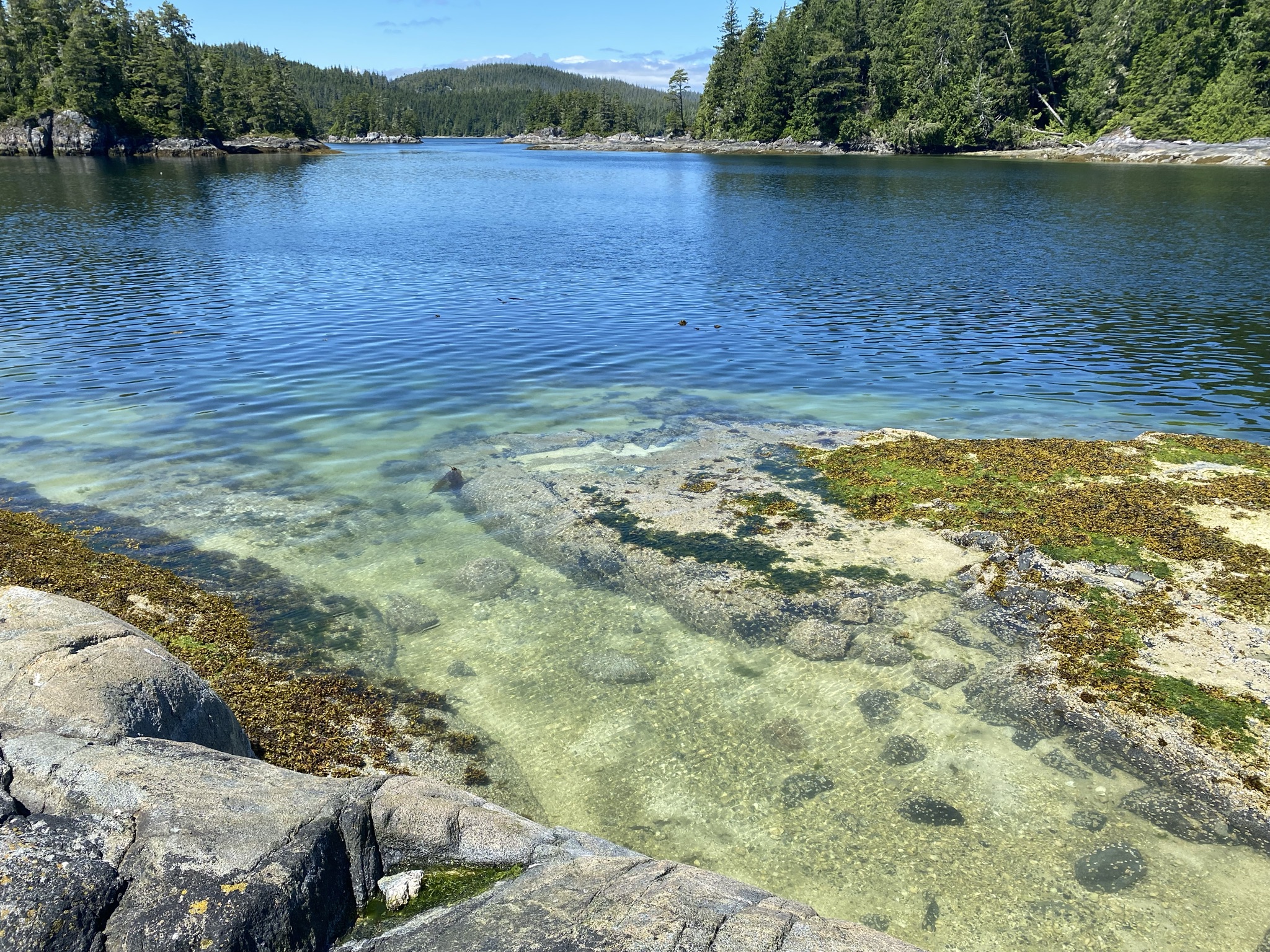 We Wai Kai First Nation et al v Canada, 2024 FC 876 - Case Summary | Mandell Pinder LLP